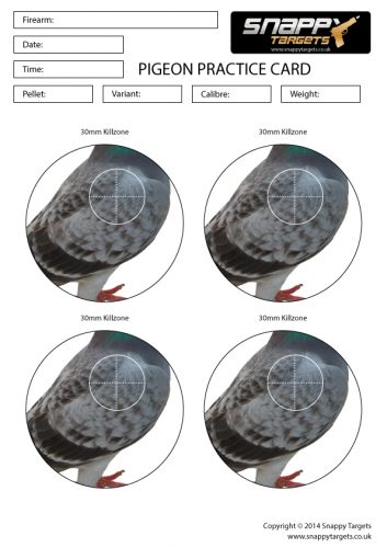 Pigeon_Practice – Snappy Targets